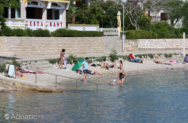 Plaża: Padova II, Rab - Banjol | Najlepsze plaże w Chorwacji | Adriatic.hr