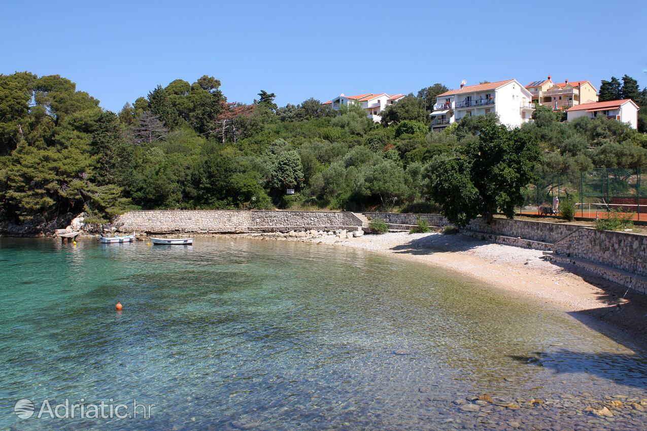 Dvosobni apartman s terasom Suha Punta, Rab - A-5050-c - Smještaj Rab ...