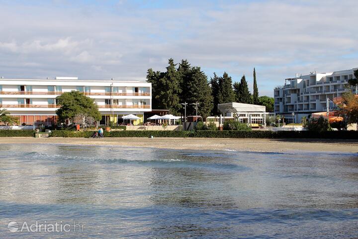 Strand: Borik, Zadar - Zadar | Die besten Strände in Kroatien | Adriatic.hr