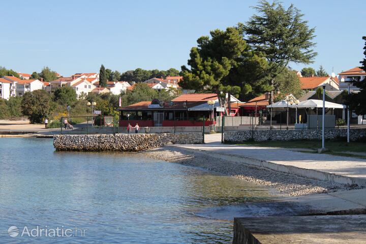 Playa: Borik, Zadar - Zadar | The best beaches in Croatia | Adriatic.hr