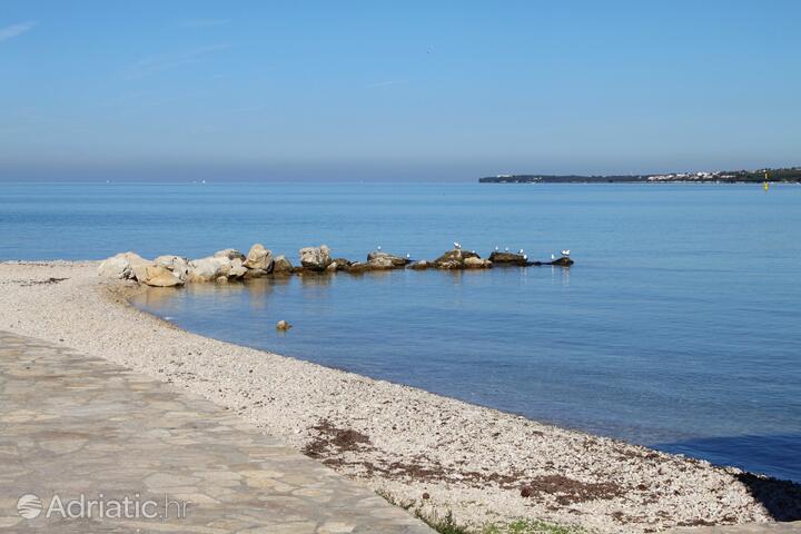 Plaża: Borik, Zadar - Zadar | Najlepsze plaże w Chorwacji | Adriatic.hr