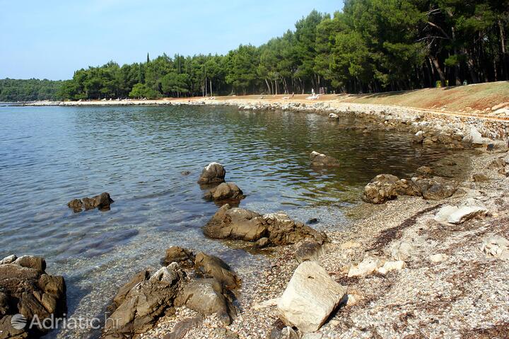 Playa: Kuvi, Rovinj - Rovinj | The best beaches in Croatia | Adriatic.hr