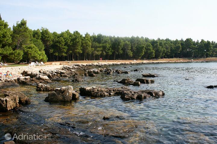 Playa: Kuvi, Rovinj - Rovinj | The best beaches in Croatia | Adriatic.hr