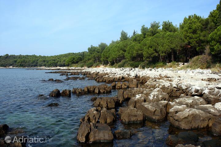 Strand: Kuvi, Rovinj - Rovinj | Legjobb strandok Horvátországban ...