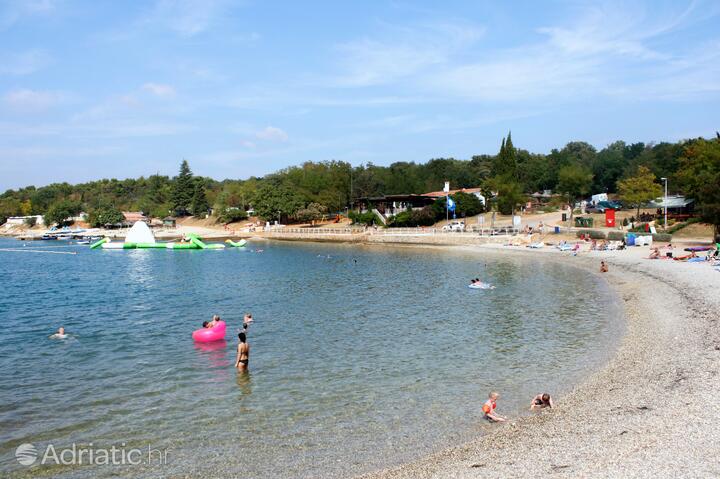 Spiaggia: Crnika, Poreč - Vabriga | Le spiagge migliori in Croazia ...