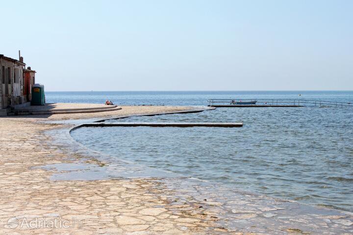 Strand: Dante, Umag - Umag | Die besten Strände in Kroatien | Adriatic.hr
