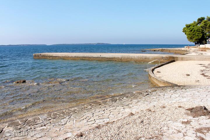 Plaža: Kamp Pineta, Fažana - Fažana | Najbolje plaže u Hrvatskoj ...