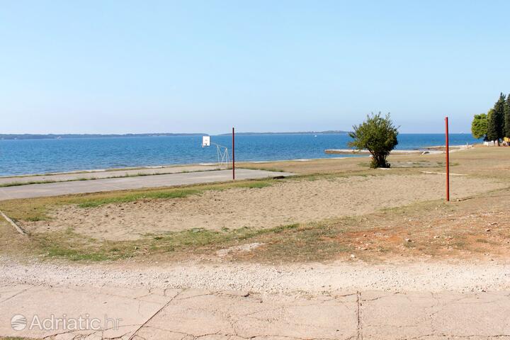 Pláž: Kamp Pineta, Fažana - Fažana | Nejlepší pláže v Chorvatsku ...