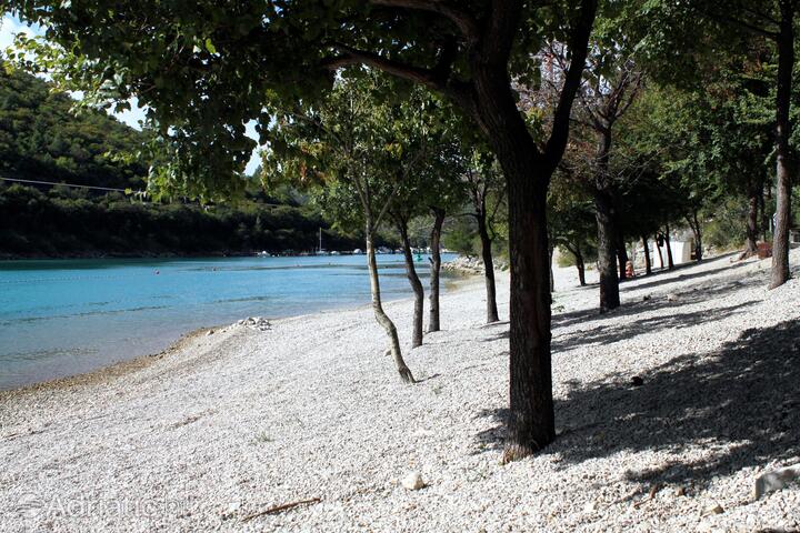 Plaža: Dražine, Labin - Plomin Luka | Najbolje plaže u Hrvatskoj ...