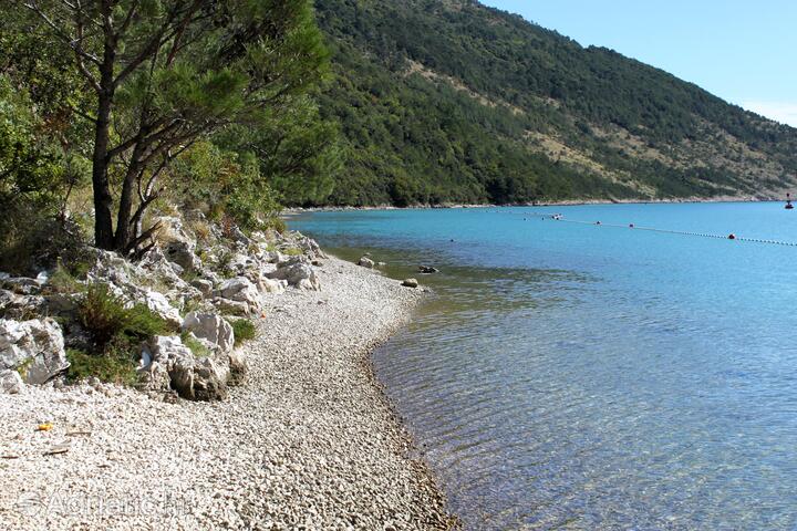 Plaža: Dražine, Labin - Plomin Luka | Najbolje plaže u Hrvatskoj ...