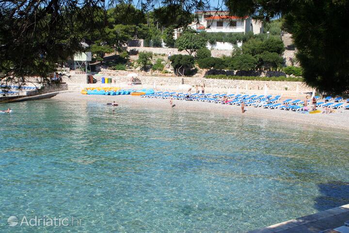 Plage: Bonj, Hvar - Hvar | Les meilleures plages en Croatie | Adriatic.hr