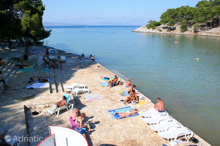 Pláž: Mina, Hvar - Jelsa | Nejlepší pláže v Chorvatsku | Adriatic.hr