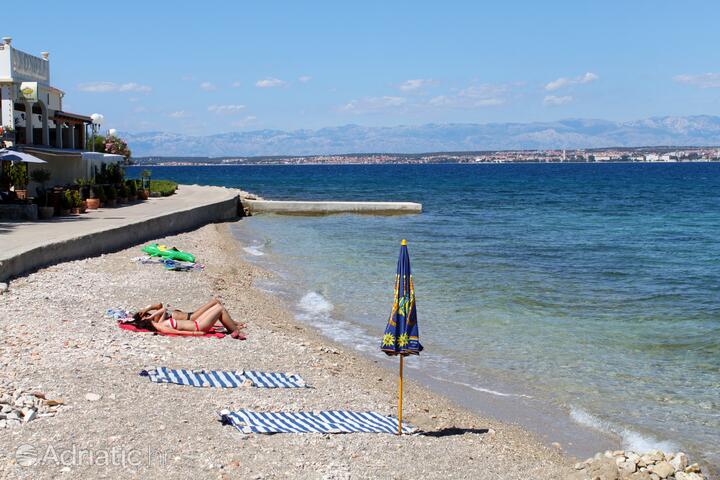 Strand: Bilišće, Ugljan - Preko | Die besten Strände in Kroatien ...