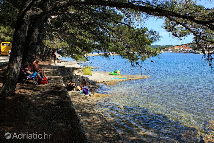 Beach: Zelena punta, Ugljan - Kukljica | The best beaches in Croatia ...