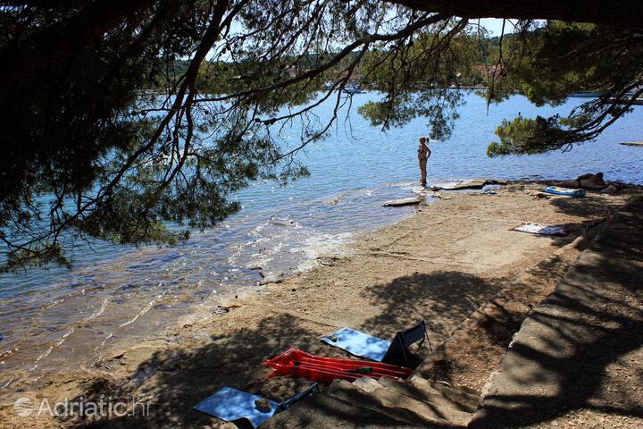 Beach: Zelena punta, Ugljan - Kukljica | The best beaches in Croatia ...