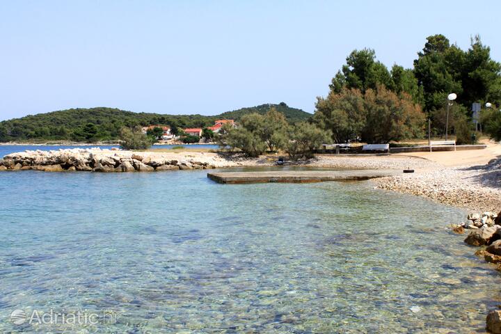 Strand: Tratica, Ugljan - Ugljan | Die besten Strände in Kroatien ...