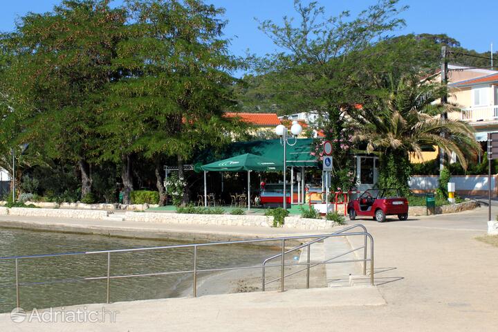 Plage: Jaz, Ugljan - Preko | Les meilleures plages en Croatie | Adriatic.hr