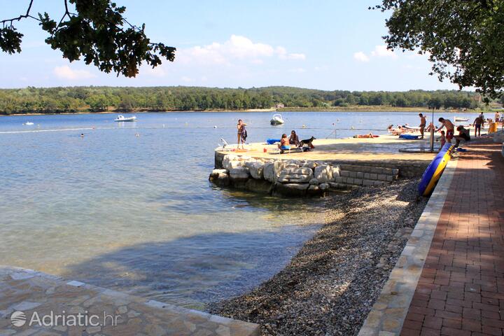 Strand: Puntica, Poreč - Funtana | Die besten Strände in Kroatien ...