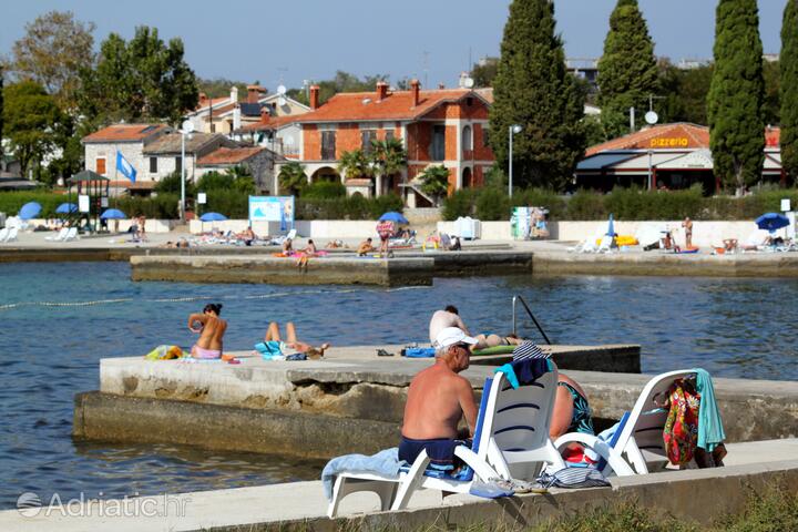 Strand: Laguna, Poreč - Poreč | Die besten Strände in Kroatien ...