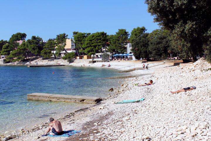 Strand: Cintinera, Pula - Banjole | Die besten Strände in Kroatien ...
