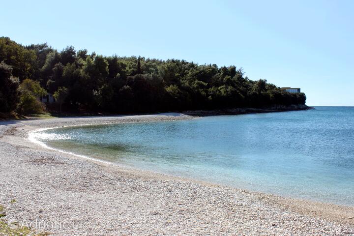 Strand: Valsaline, Pula - Pula | Die besten Strände in Kroatien ...