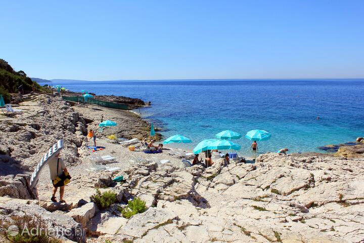 Pláž: Borik, Lošinj - Mali Lošinj | Nejlepší pláže v Chorvatsku ...