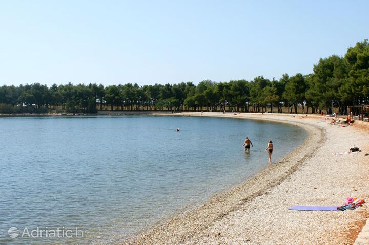 Plaža: Karpinjan, Novigrad - Novigrad | Najboljše plaže na Hrvaškem ...