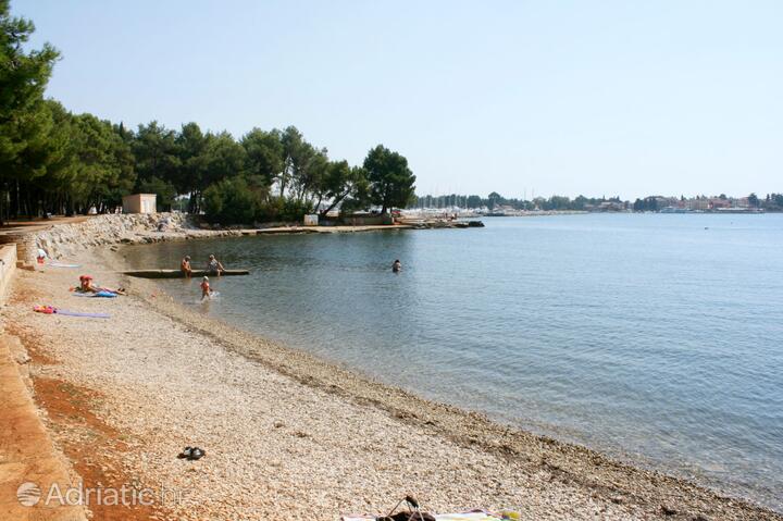 Plaža: Karpinjan, Novigrad - Novigrad | Najboljše plaže na Hrvaškem ...