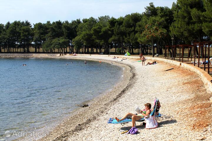 Plaža: Karpinjan, Novigrad - Novigrad | Najboljše plaže na Hrvaškem ...