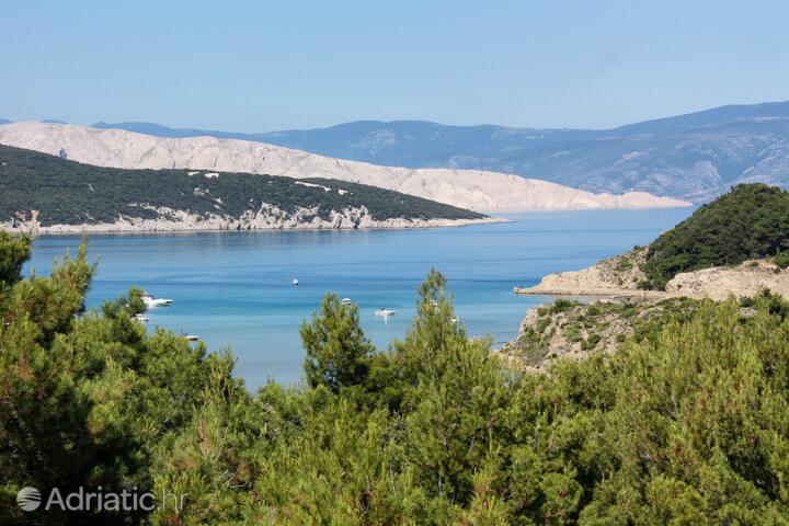Plaža: Sahara, Rab - Lopar | Najbolje plaže u Hrvatskoj | Adriatic.hr