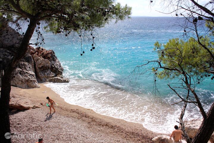 Пляж: Jagodna, Hvar - Jagodna | Лучшие пляжи в Хорватии | Adriatic.hr