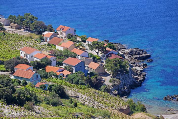 Dingač - Borak, Pelješac - Przewodnik po Chorwacji | Adriatic.hr