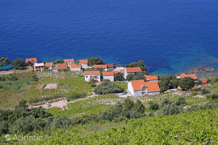 Dingač - Borak, Pelješac - Guide de la Croatie | Adriatic.hr