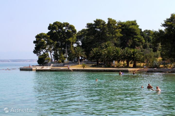 Preko, Island Ugljan - Croatia guide | Adriatic.hr
