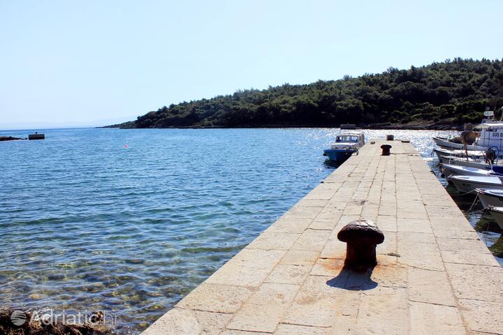 Punta križa, Island Cres - Croatia guide | Adriatic.hr