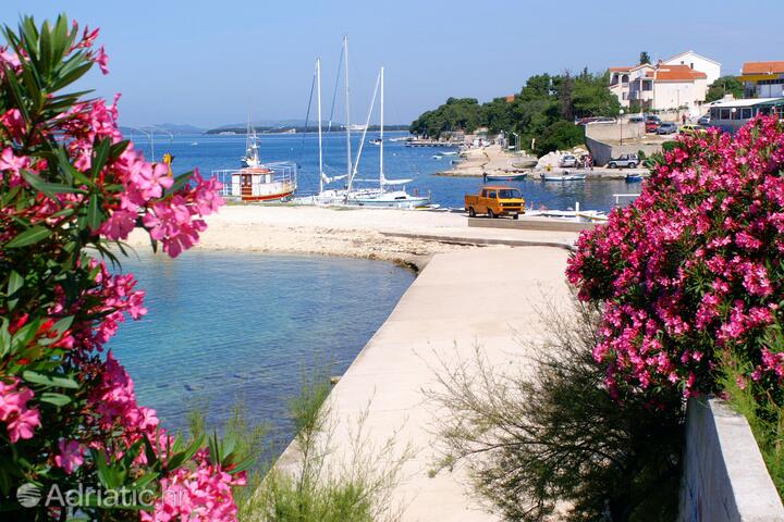 Brodarica, Šibenik - Przewodnik po Chorwacji | Adriatic.hr