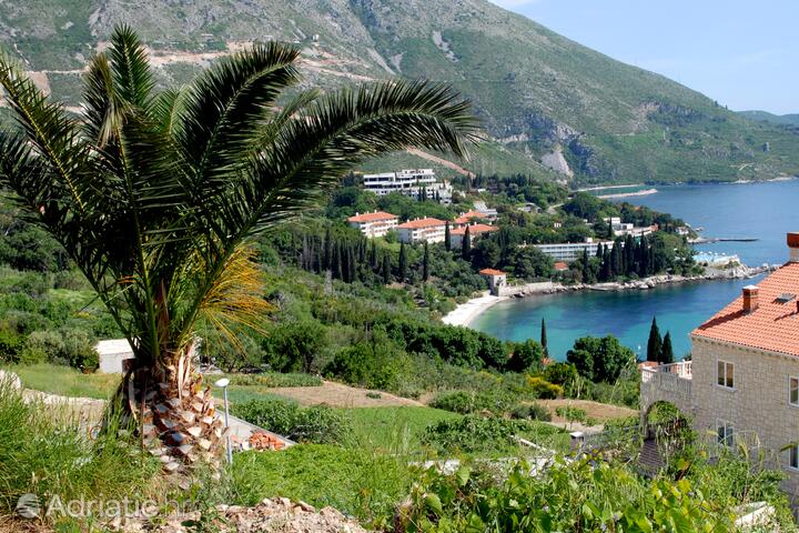 Plat, Dubrovnik - Croatia guide | Adriatic.hr