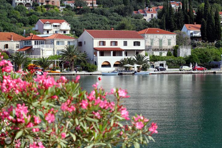 Zaton Mali, Dubrovnik - Croatia guide | Adriatic.hr