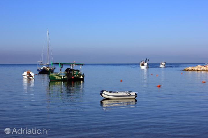 Peroj, Fažana - Croatia guide | Adriatic.hr
