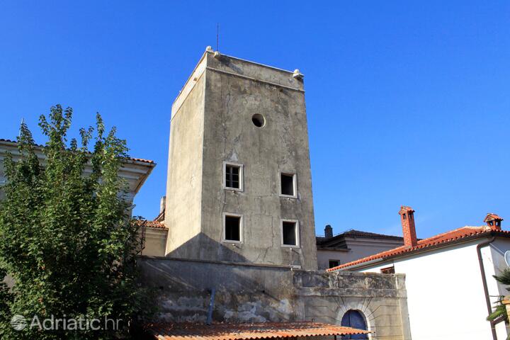 Dajla, Novigrad - Vodič kroz Hrvatsku | Adriatic.hr