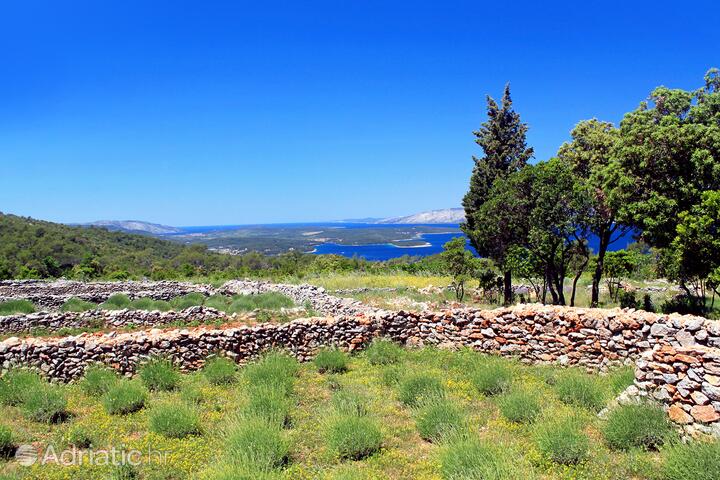 Humac, wyspa Hvar - Przewodnik po Chorwacji | Adriatic.hr