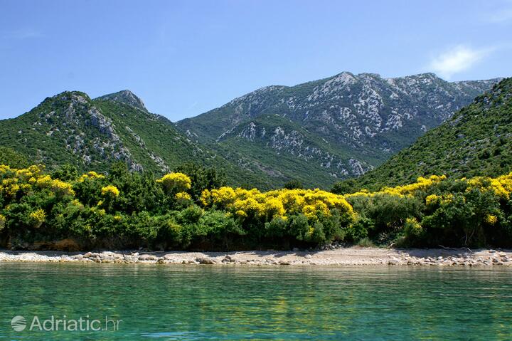 Duba Pelješka, Pelješac - Croatia guide | Adriatic.hr