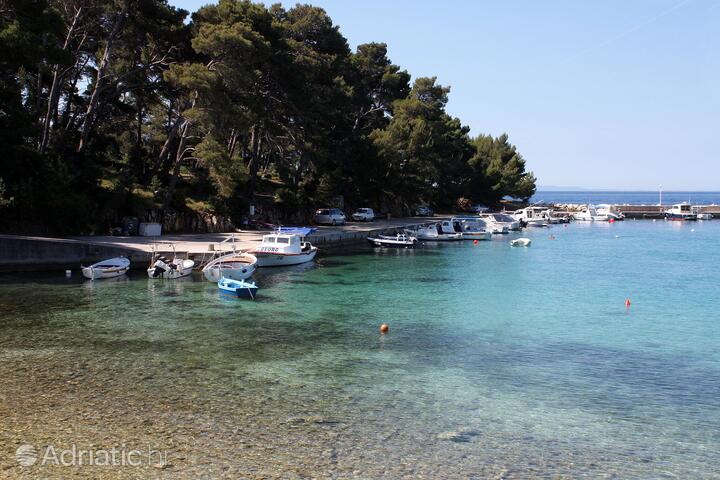 Suha Punta, Insel Rab - Reiseführer durch Kroatien | Adriatic.hr