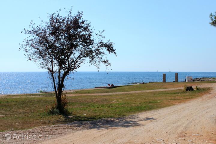 Umag, Istria - Croatia guide | Adriatic.hr