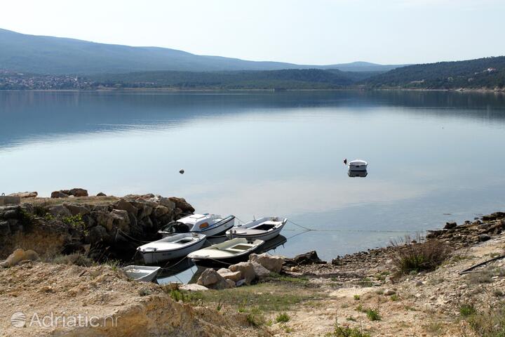 Pridraga - Cuskijaš, Novigrad - Reiseführer durch Kroatien | Adriatic.hr