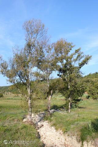 Momjan, Central Istria - Croatia guide | Adriatic.hr