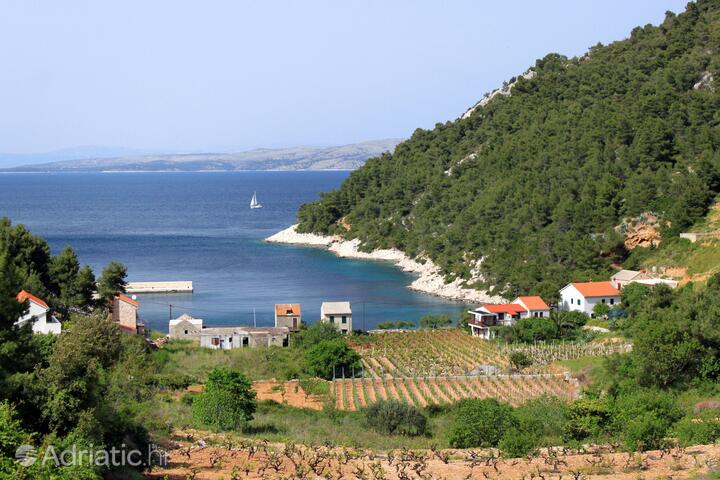 Stiniva (Brusje), Ile Hvar - Guide de la Croatie | Adriatic.hr