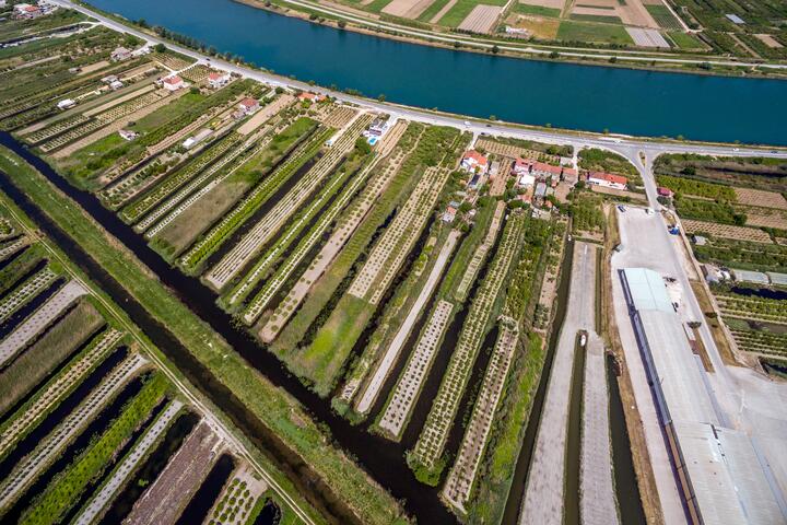 Opuzen, Ušće Neretve - Reiseführer durch Kroatien | Adriatic.hr